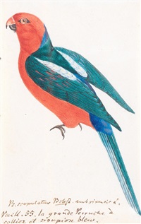 Heinrich Gottlieb Reichenbach | Artnet